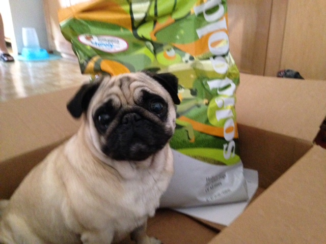 A Bowl of Noodles©: It's Solid GOLD so Why Aren't My Poops?