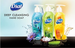 Marsha's Spot: Dial Deep Cleansing Hand Soap Review and Giveaway