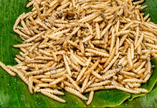 7 Macam Serangga Yang Diolah Menjadi Makanan - Agantazoa