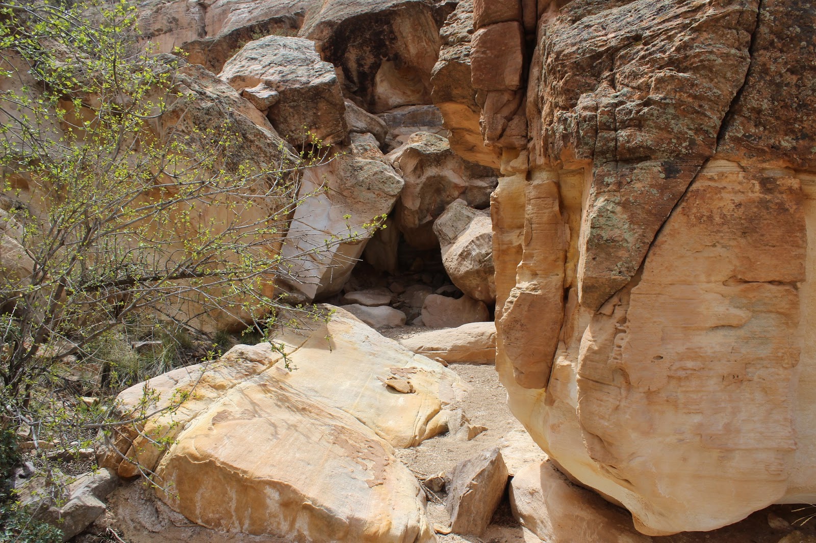 gjhikes.com: Cool Rock Canyon