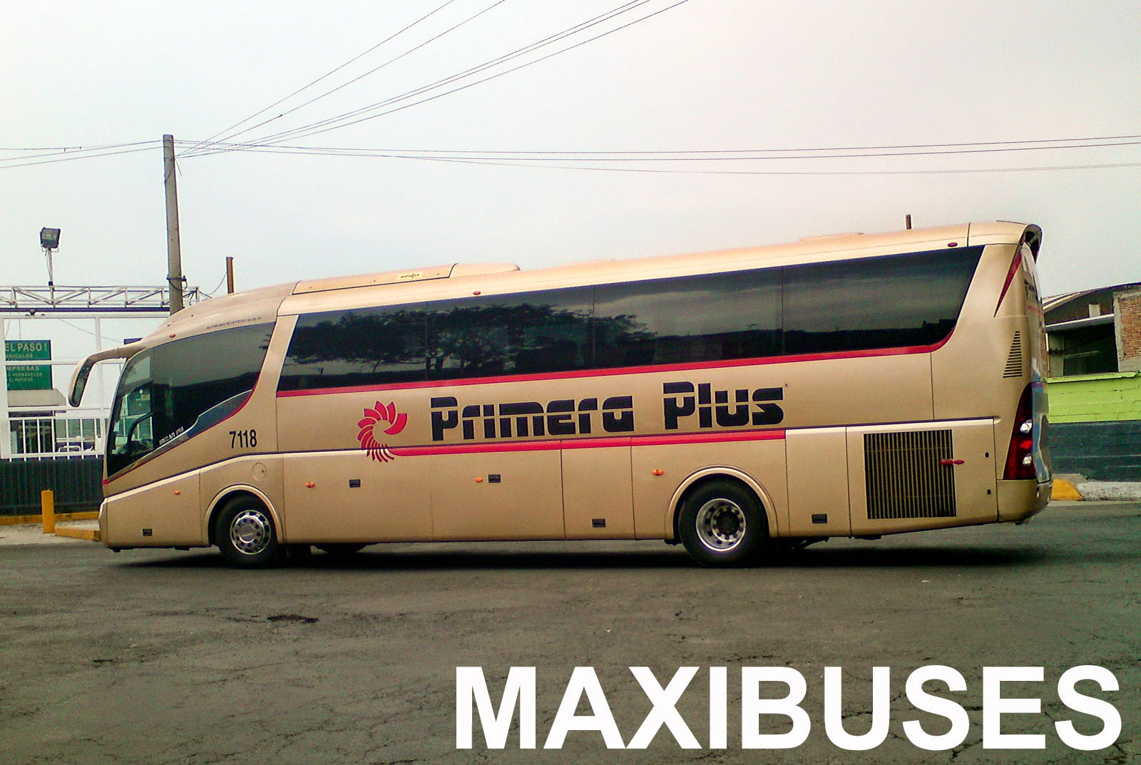 MAXIBUSES: PRIMERA PLUS