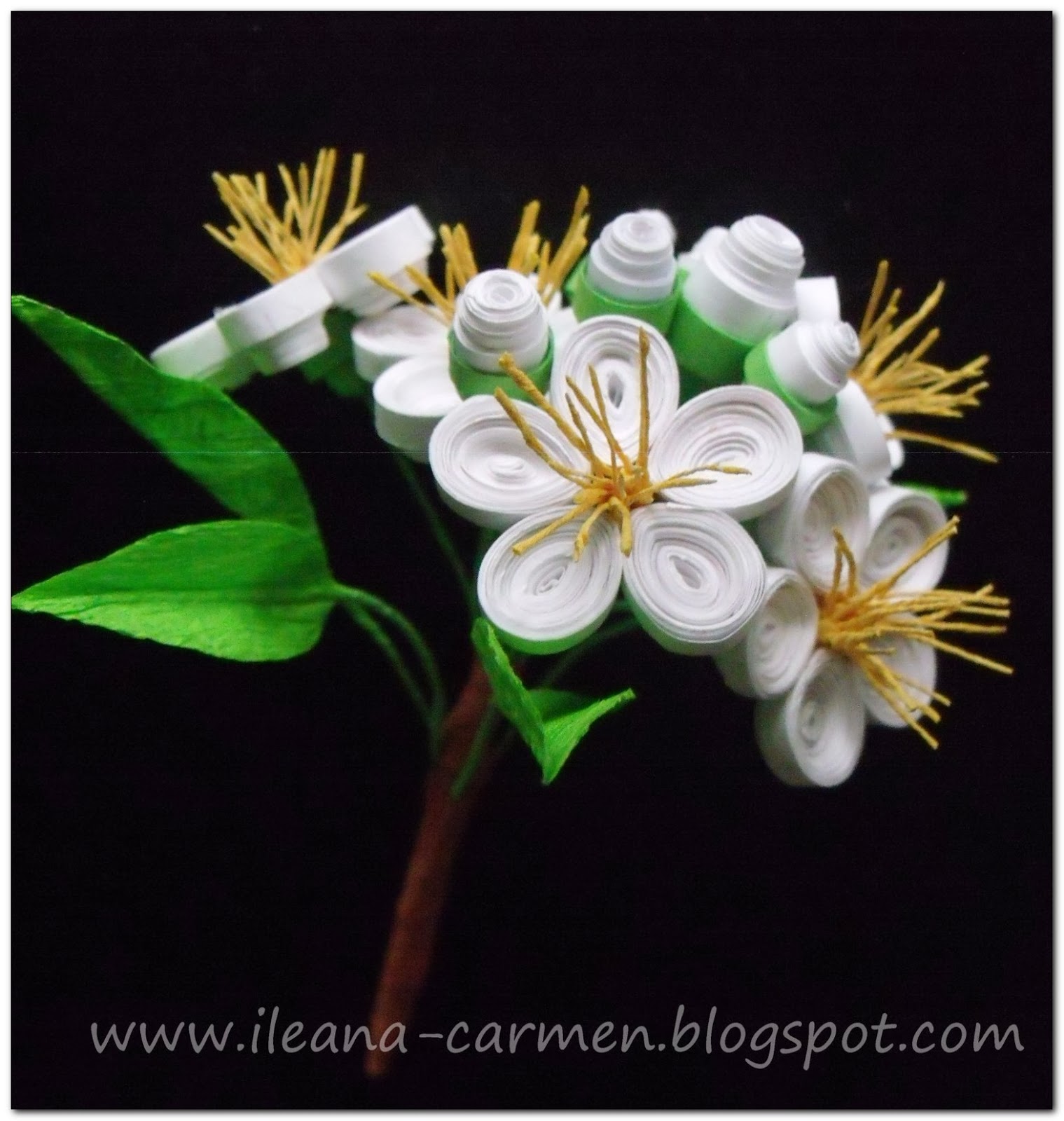 hobbies: TUTORIAL Quilling 3d - Blooming Branch with Cherry Flowers