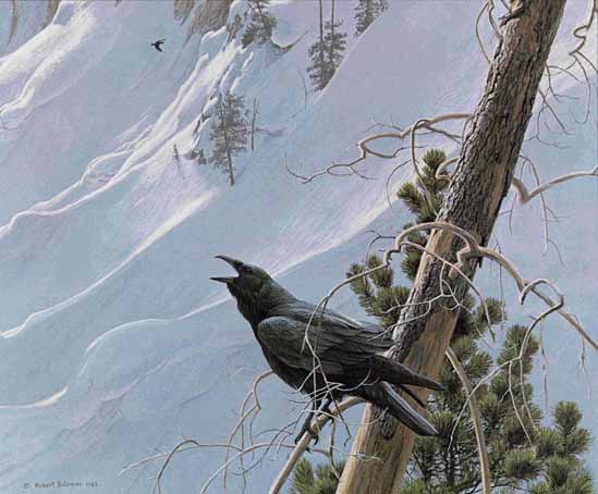 Art of the Woodland: Robert Bateman Limited Edition Prints for Sale ...