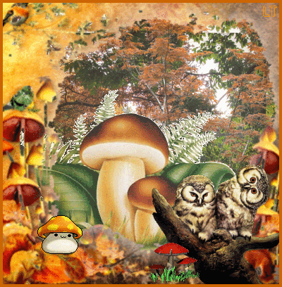 Pory roku : Dary Jesieni,linie i dodatki