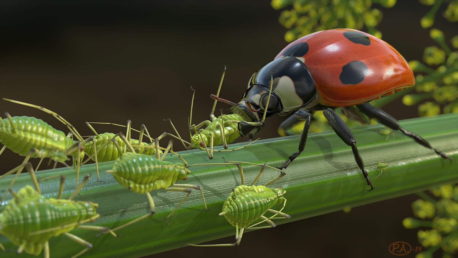 Portfolio: Greenbug (bladlus)