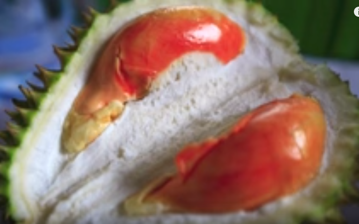 6 FAKTA TENTANG DURIAN MERAH KHAS BANYUWANGI
