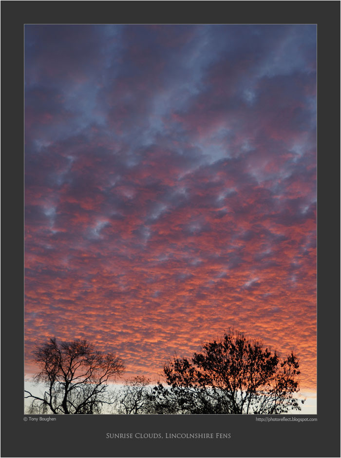 PhotoReflect: Rose-coloured clouds