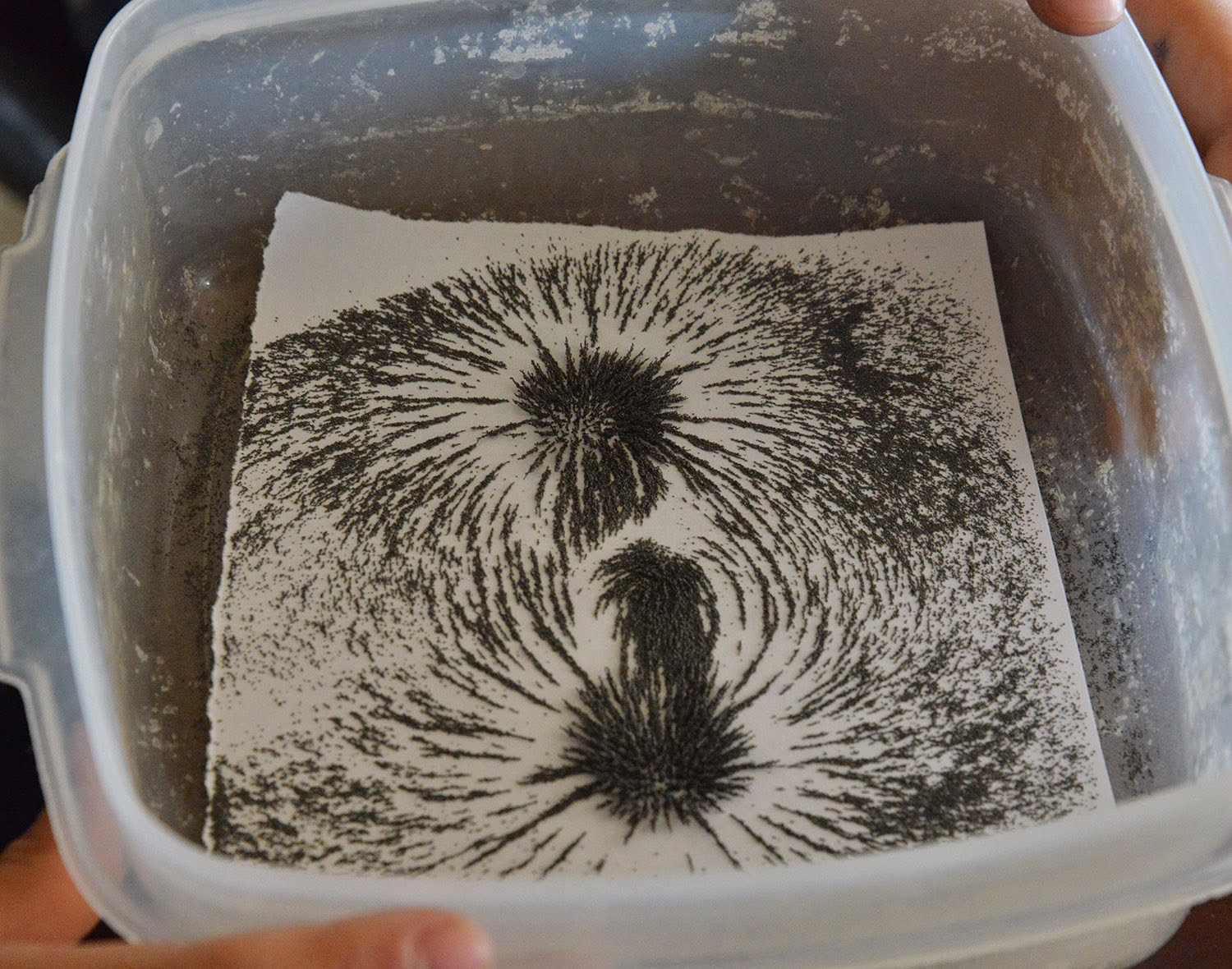 A school of fish: Magnet Play: 2-D Magnetic Fields, Magnetic Art ...