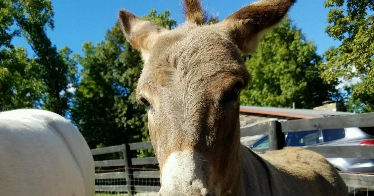 The Simple Life : Teaching How to Pick Up Objects