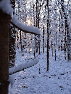 A Life Inspired by Nature: Snow Day