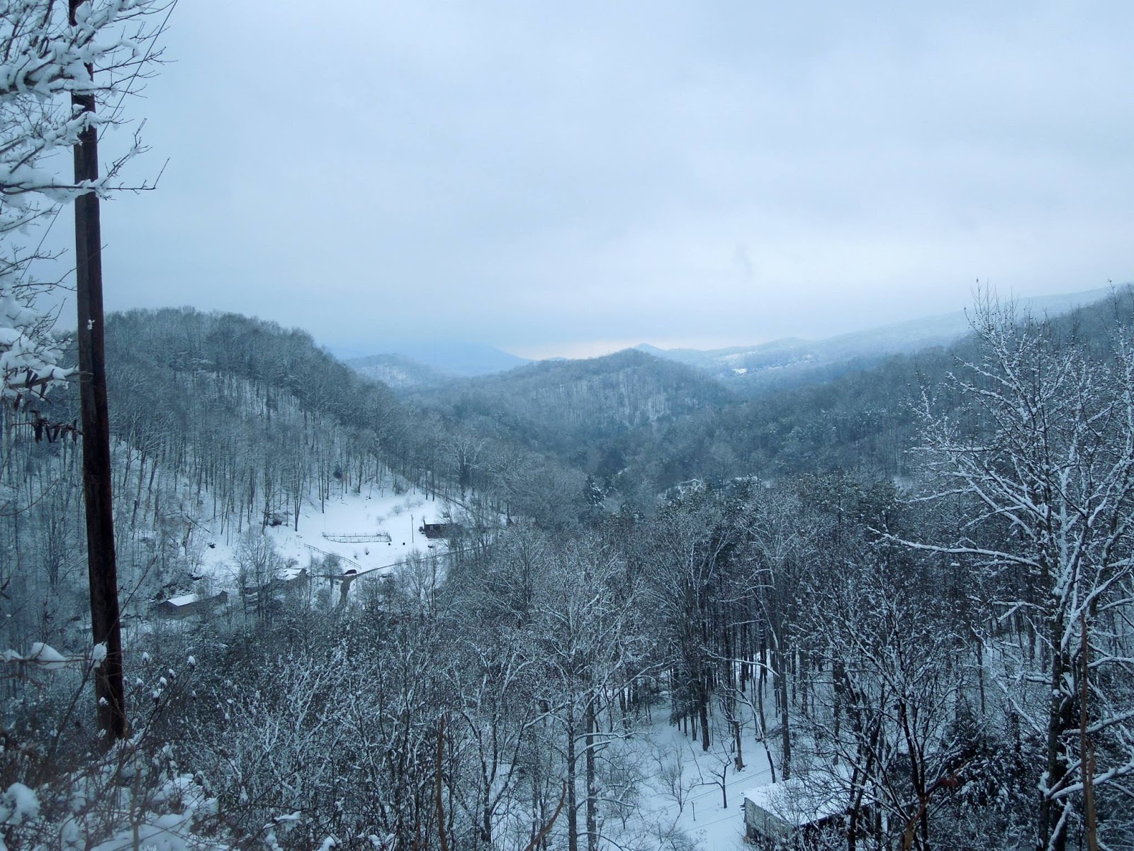 Diamonds in My Coal bucket: Appalachian Language - Holler