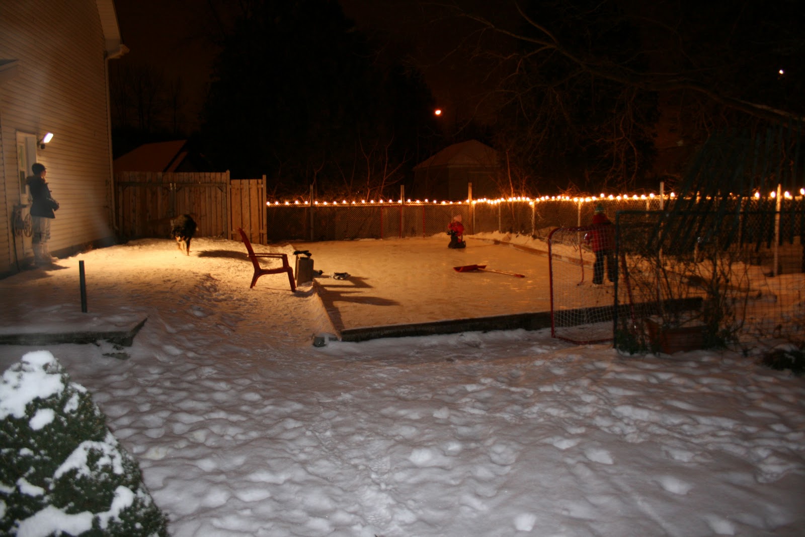 Experience the Wonderful.: the rink.