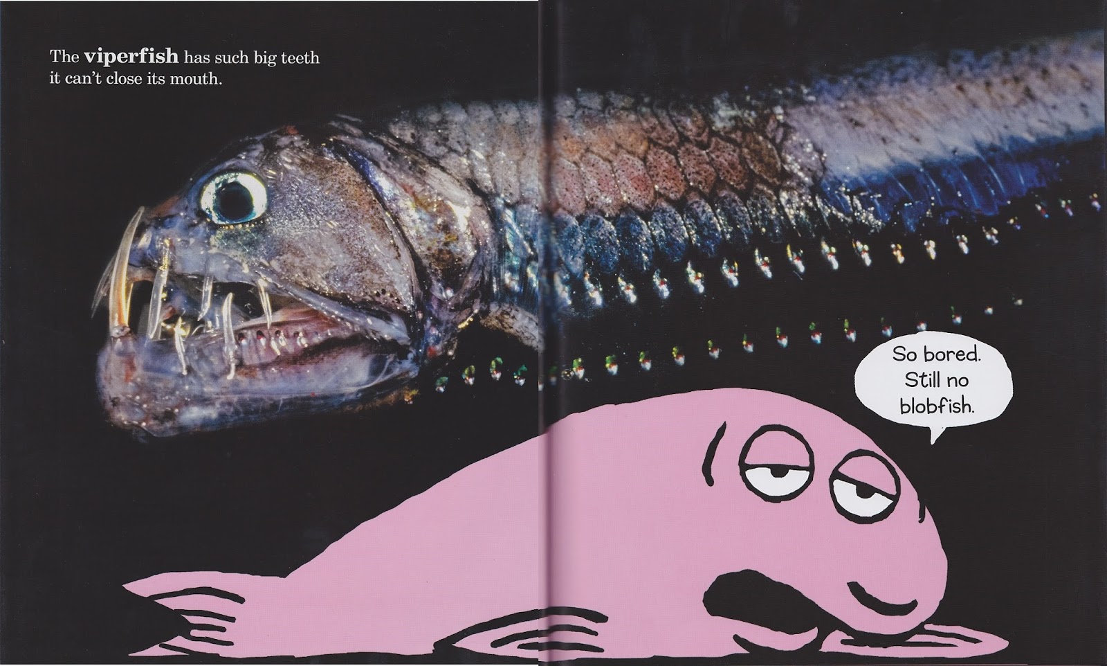 Guessing Geisel: A Mock Geisel Blog: Geisel-Worthy Nonfiction: Past and ...