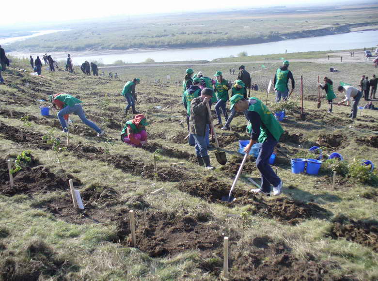 Ecologie si protectia mediului: Imagini