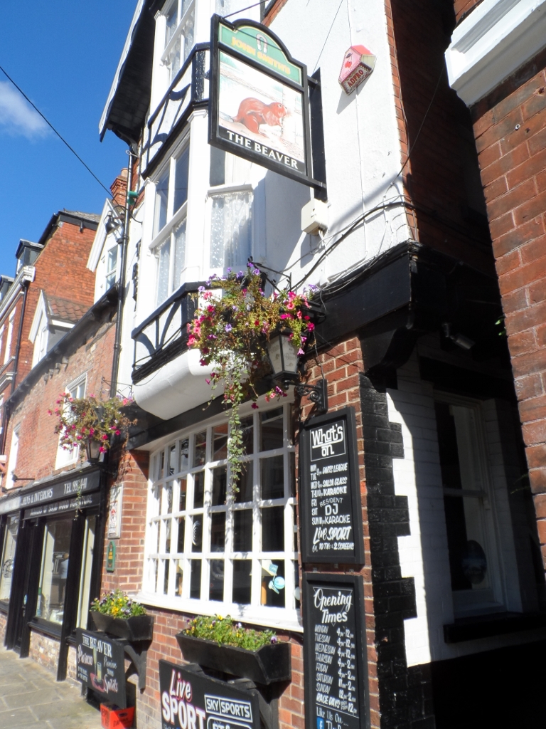 Walking The Peak: The Humber Bridge, Beverley, and Gilberdyke Garden Centre