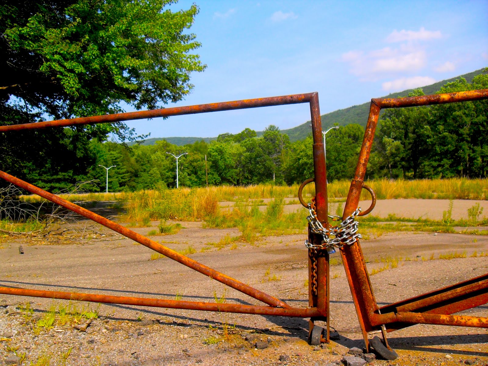 ART SKOOL DAMAGE : Christian Montone: Memento Mori: The Ghost Of Angela ...