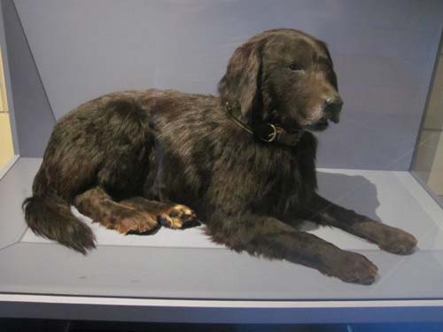 Life Is Better On Vacation: Newfoundland Dog Statues
