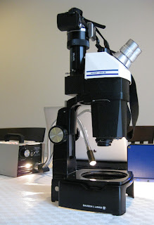 Photographing Gems with a Microscope