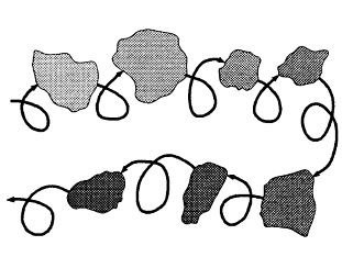 Neal's Learning Journal: [Study] The chaos model and the chaos cycle