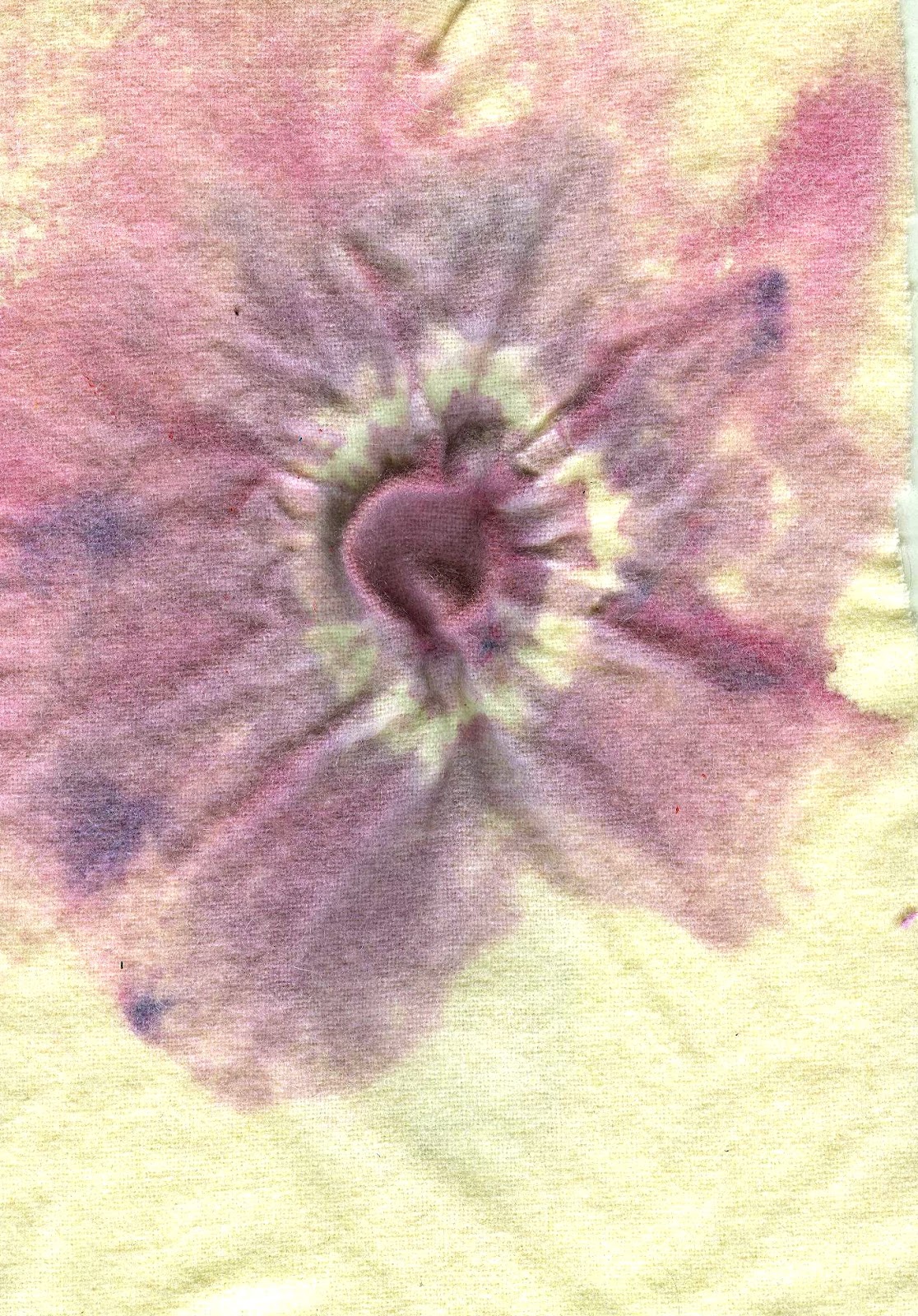 Lara Rhodes: Dying Samples