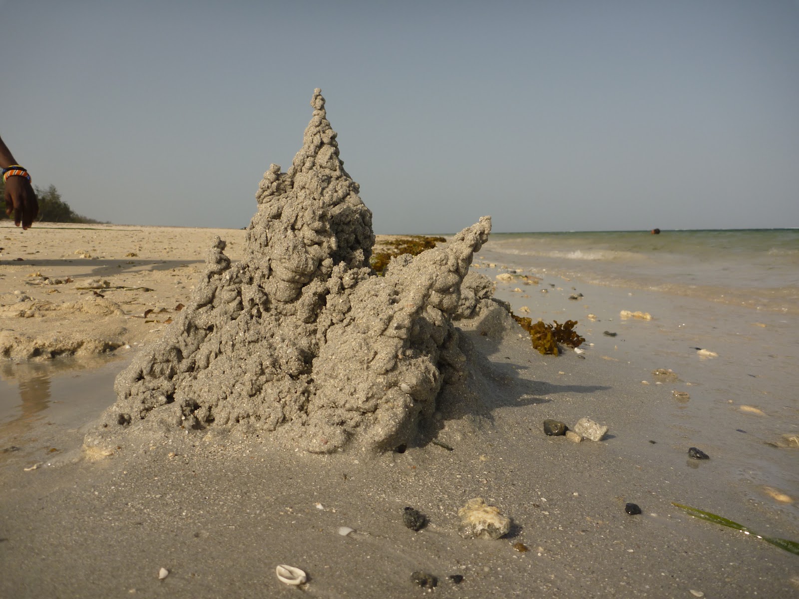 Not Another Architecture Student: SAND CASTLE