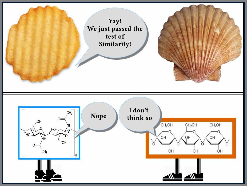 Filosofía, especie y sistemática: Homology: what is is and how we can ...