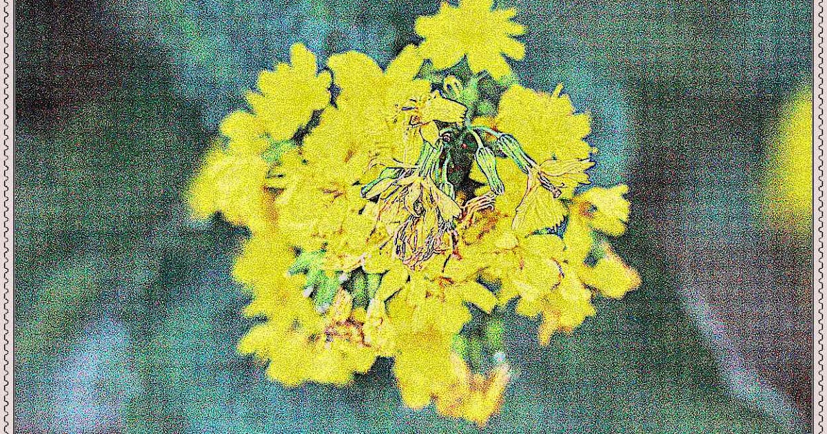 The Scriptures: Mark-06-07