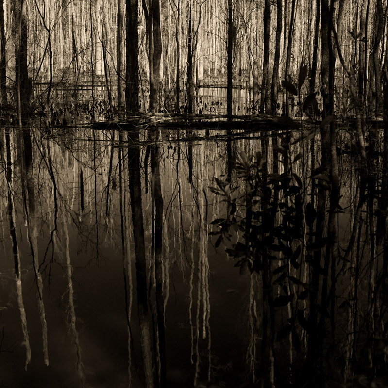 ELIZABETH AVEDON JOURNAL: JERRY ATNIP: Gone South