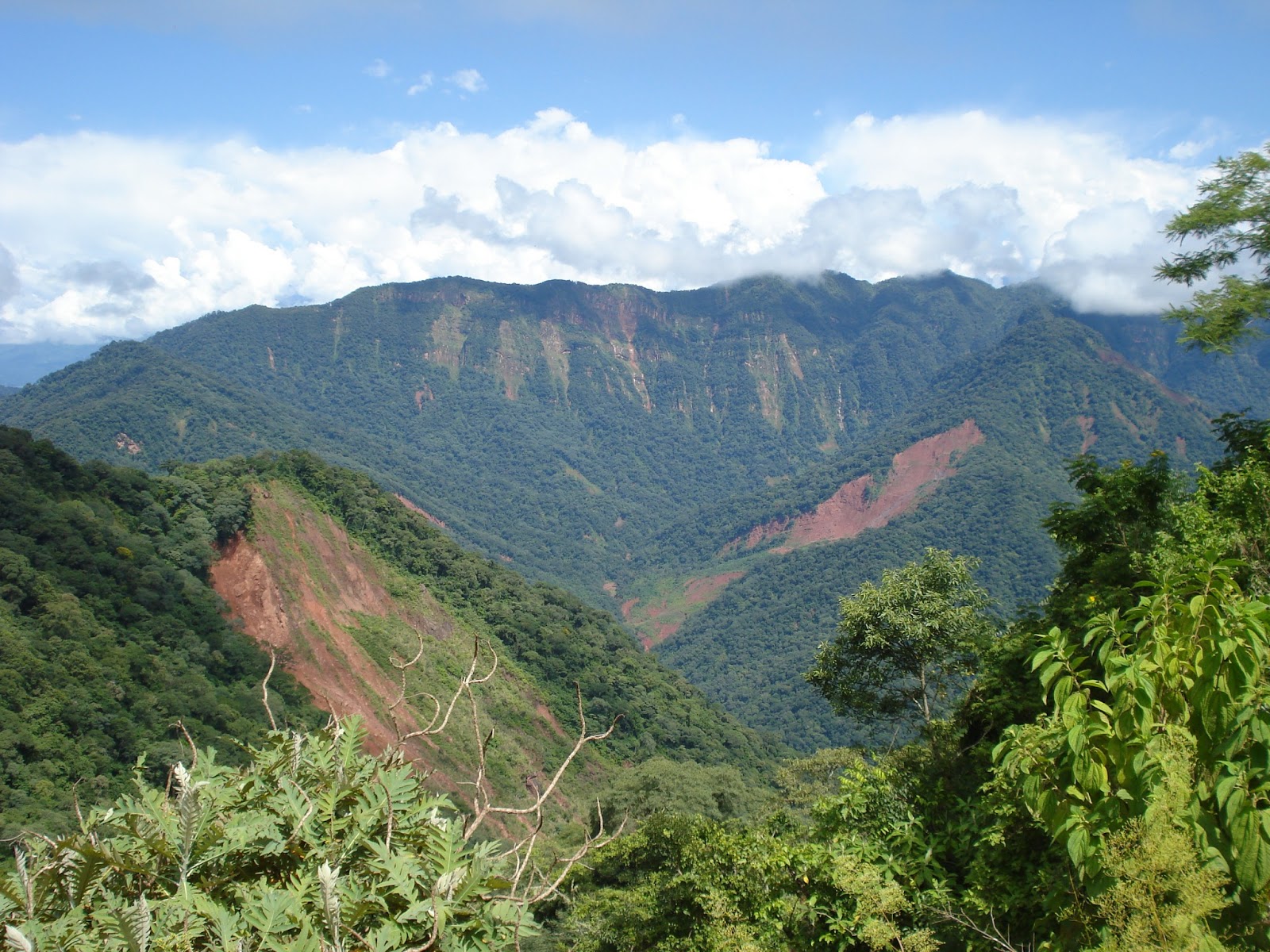 De gira por Argentina: Yungas