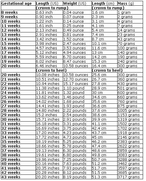 mommy's journal: tabel berat dan panjang dede bayi