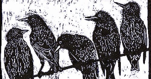 Romantism si poezie: Un stol de grauri