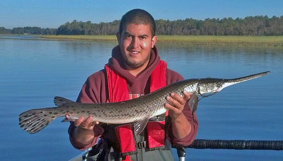 Virginia Tech Ichthyology Class : Such a long nose and such big teeth ...