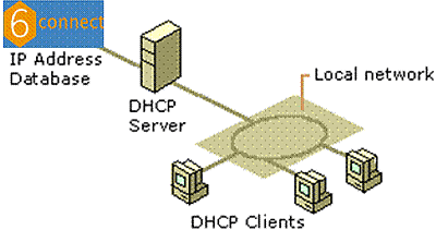 Dynamic Host Configuration Protocol ~ Tech Blog