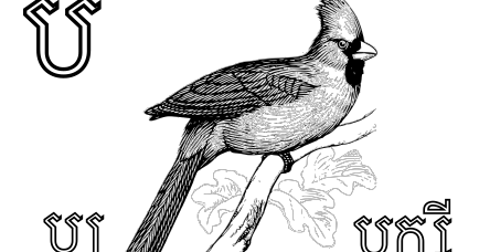 Khmer Printables: Khmer letter 'baw' - free printable coloring page