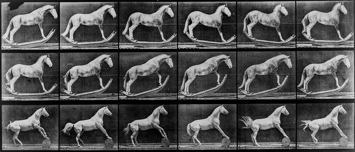 VINTAGE PHOTOGRAPHY: Muybridge's motion studies 1878-1887