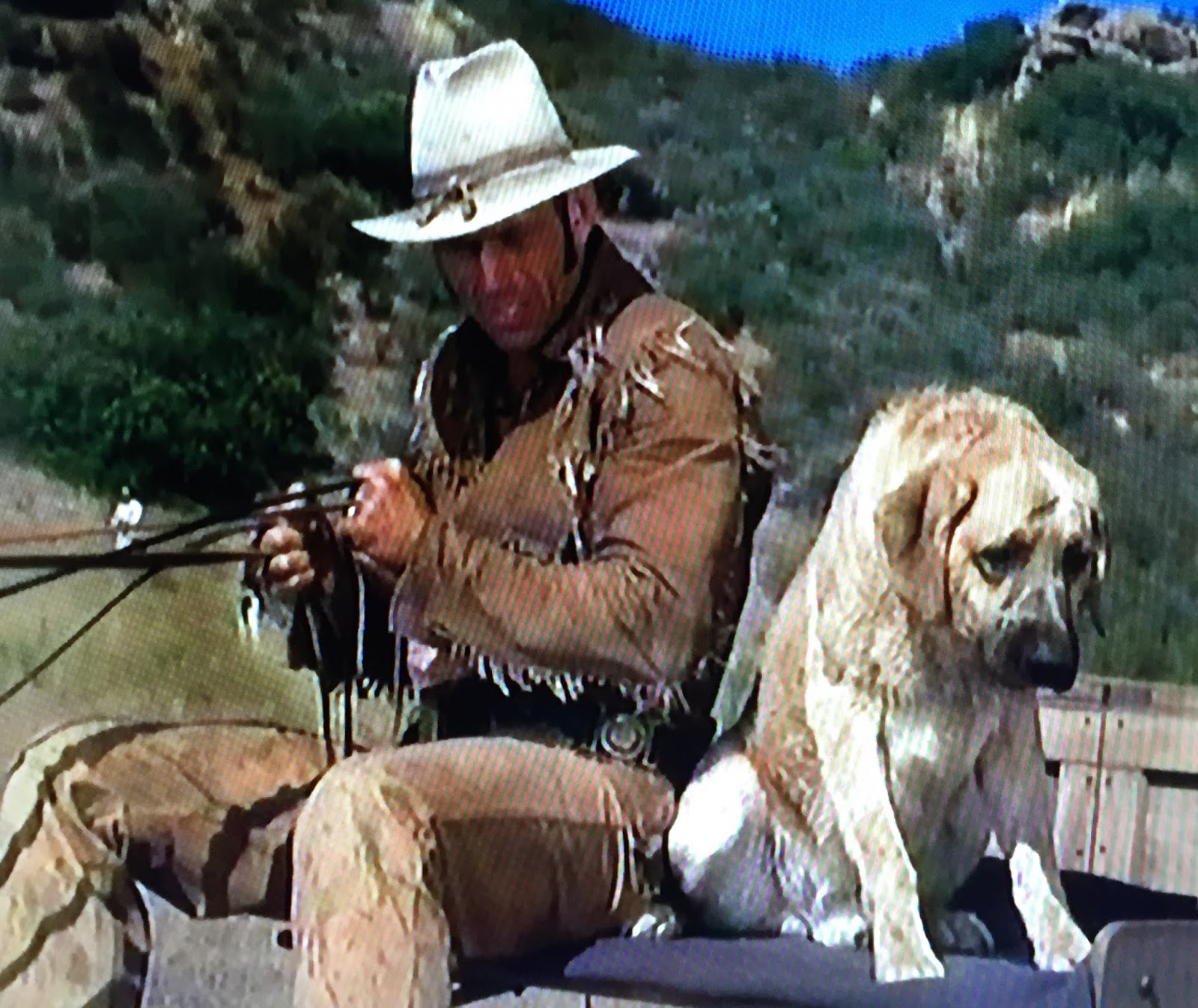 The Horn Section: TV Sidekick Blogathon: HONDO's Helpers