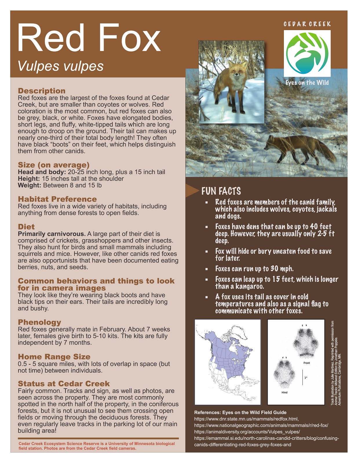 Wildlife factsheets now available!