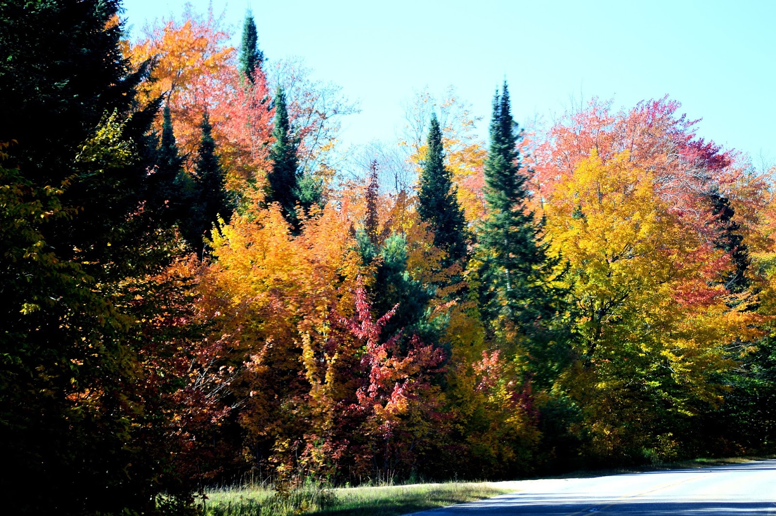 The Walking Stick: UP Fall Colors