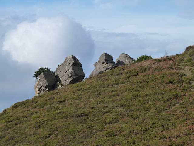 Kuestas: Irumugarrieta-Vuelta al Umandi.