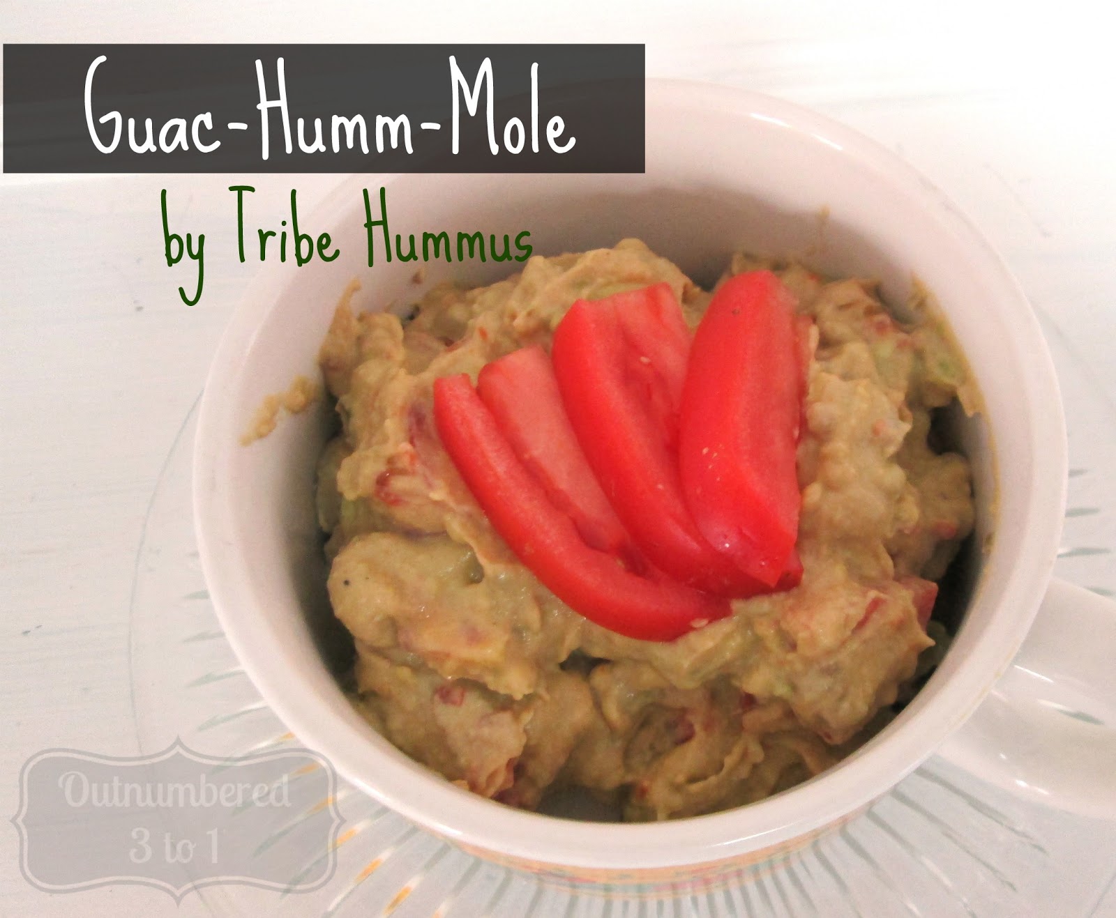 Tribe Hummus Flavors and Recipes - Outnumbered 3 to 1
