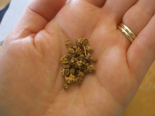 Thy Hand Hath Provided: Mangels to the Rescue