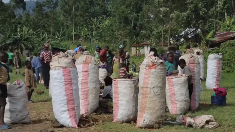 L'inégalité de revenus en République Démocratique du congo - Documentaire (VIDEO) | BA SANGO YA ...