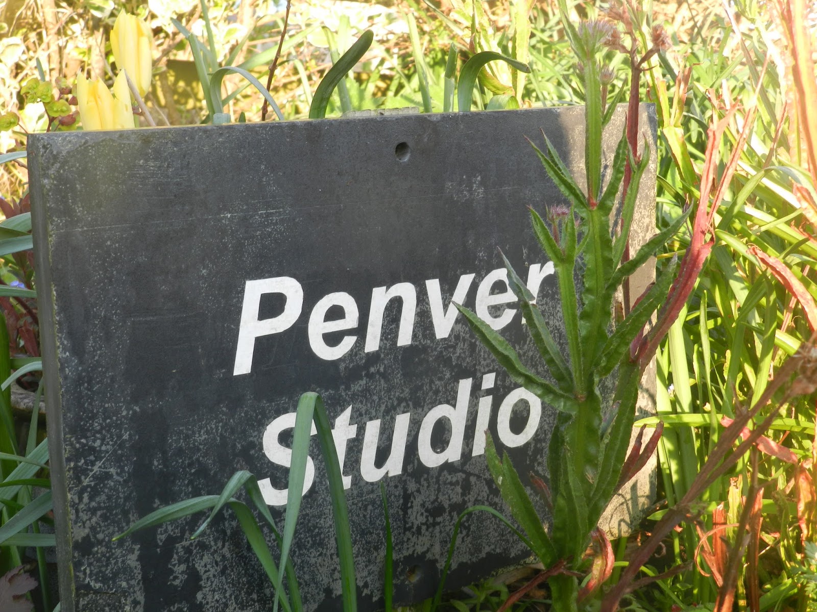 Penver Studio TREEN CORNWALL: 2016