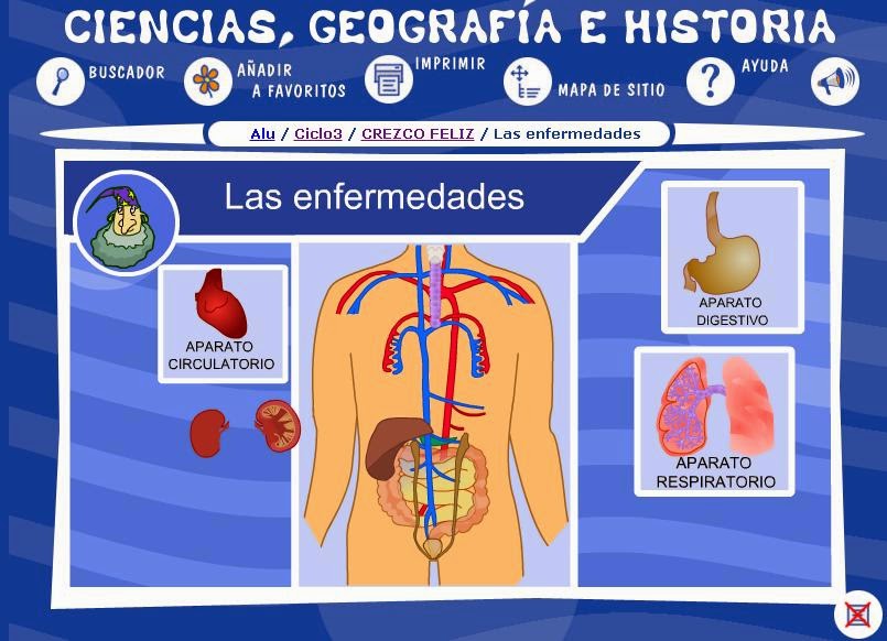 Biología y Geología Toni: 3º ESO. TEMA 3. SALUD Y ENFERMEDAD