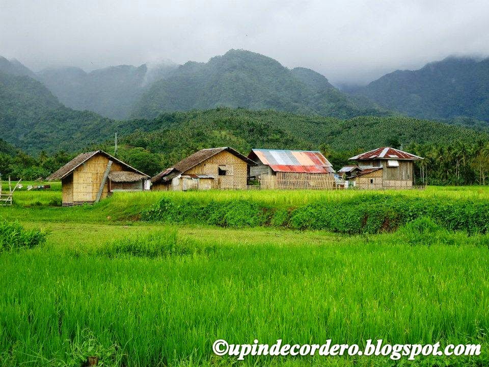 THE TRAVELLING HOPIA: A Province Life