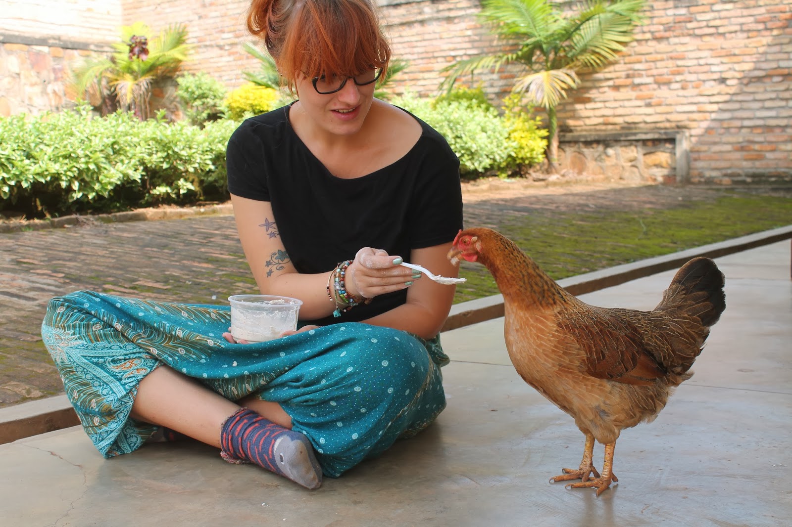Olivia's in Rwanda!: Chickens, trees and buns.