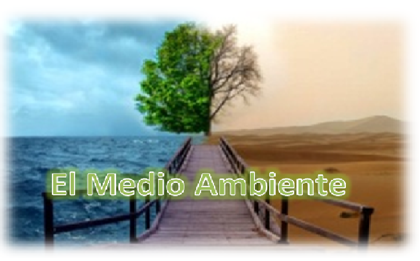 El Medio Ambiente