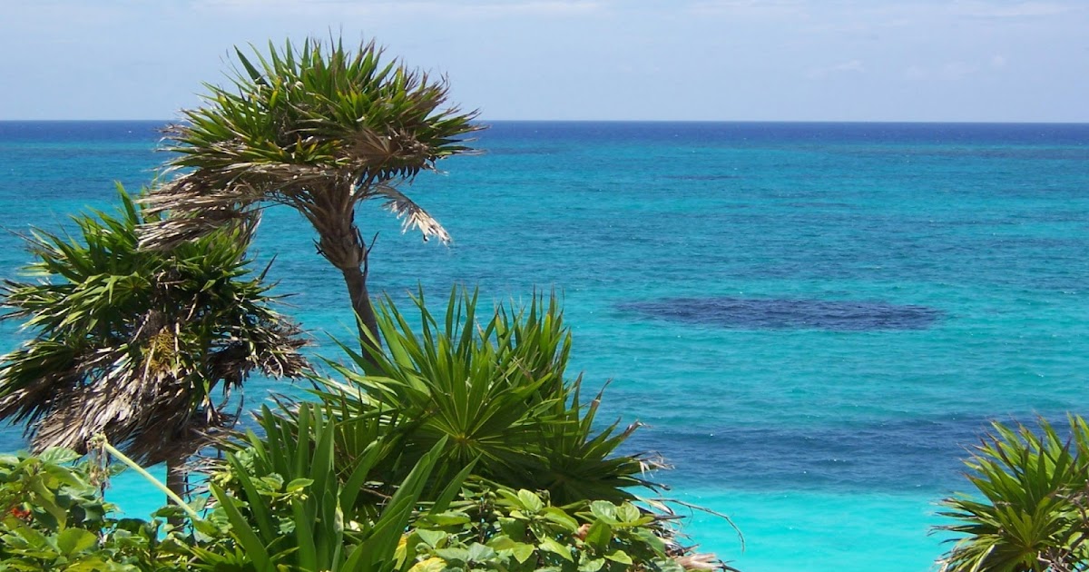 Wallpaper : Nacher Wallpaper