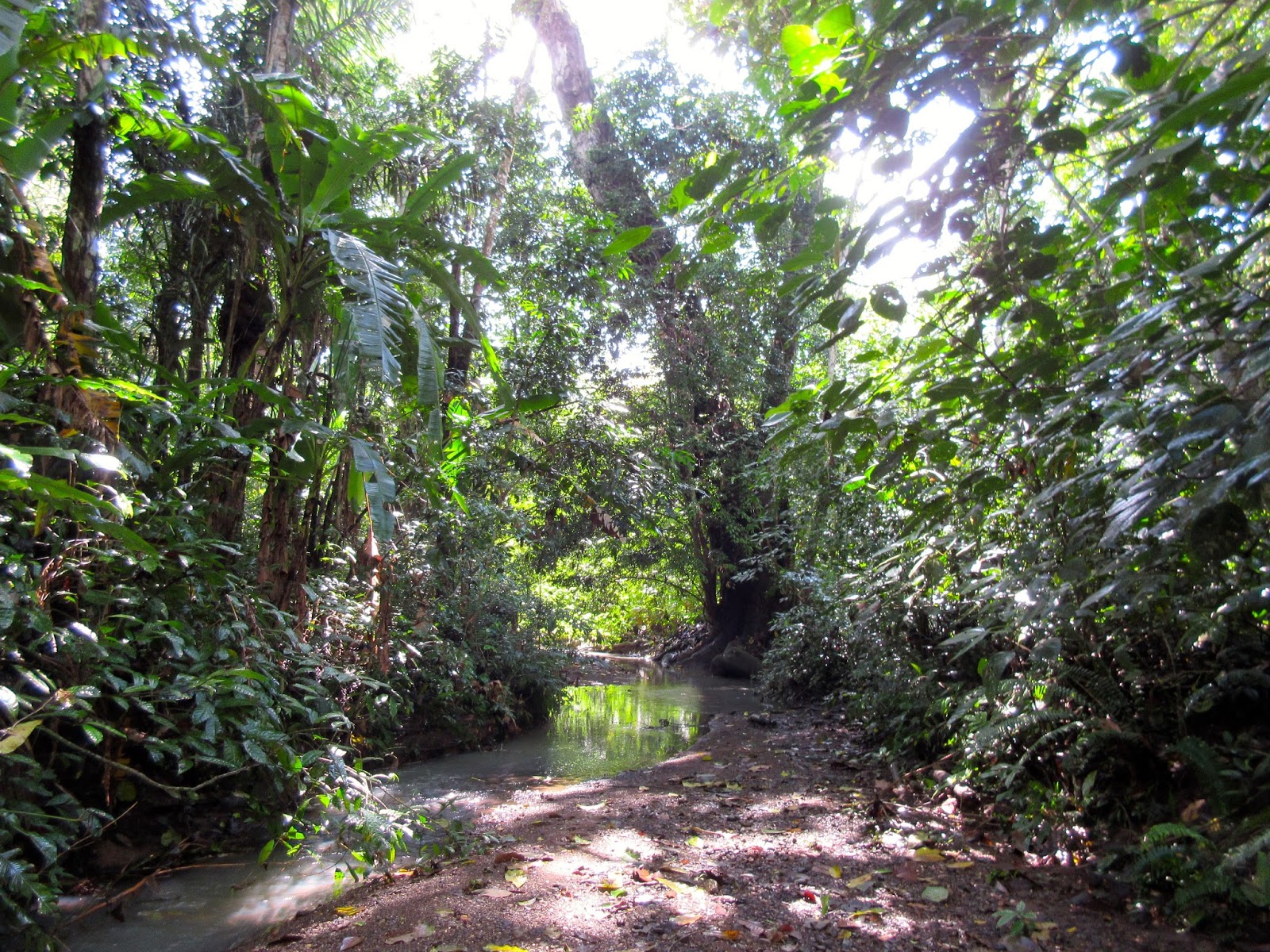 Abby Explores: Darien Part 3: The Hike to La Chunga