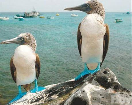 Islas Galápagos, Ecuador turismo de naturaleza